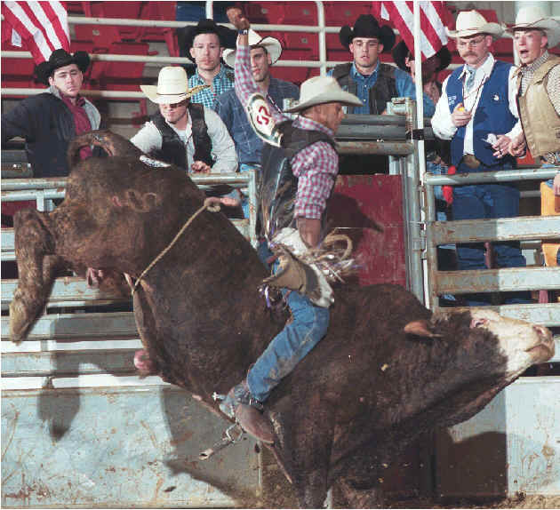 2003 Federation Cup Champion