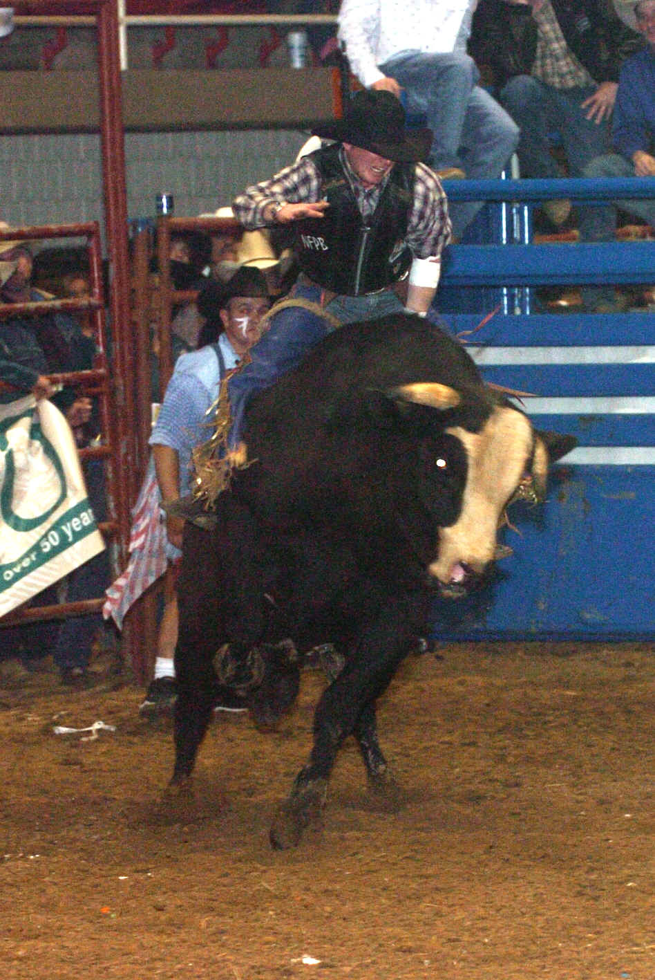 Curt Check - 2004 Federation Cup Champion