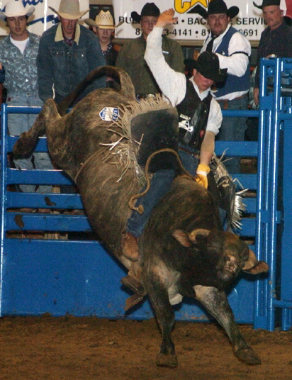 NFPB Champion Profiles